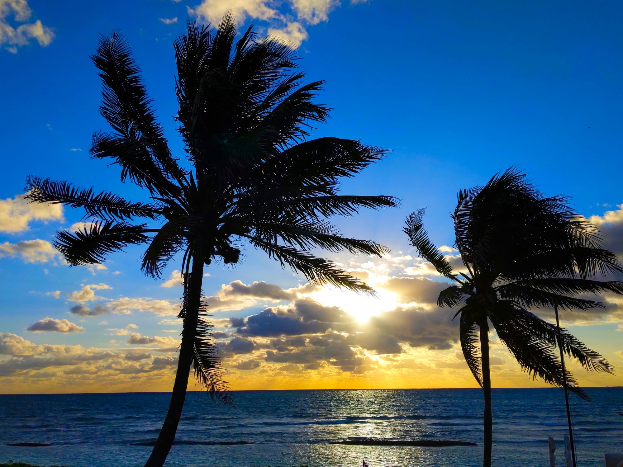 Satoshi Roundtable VIII Recap