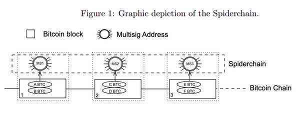 An Introduction to Spiderchain